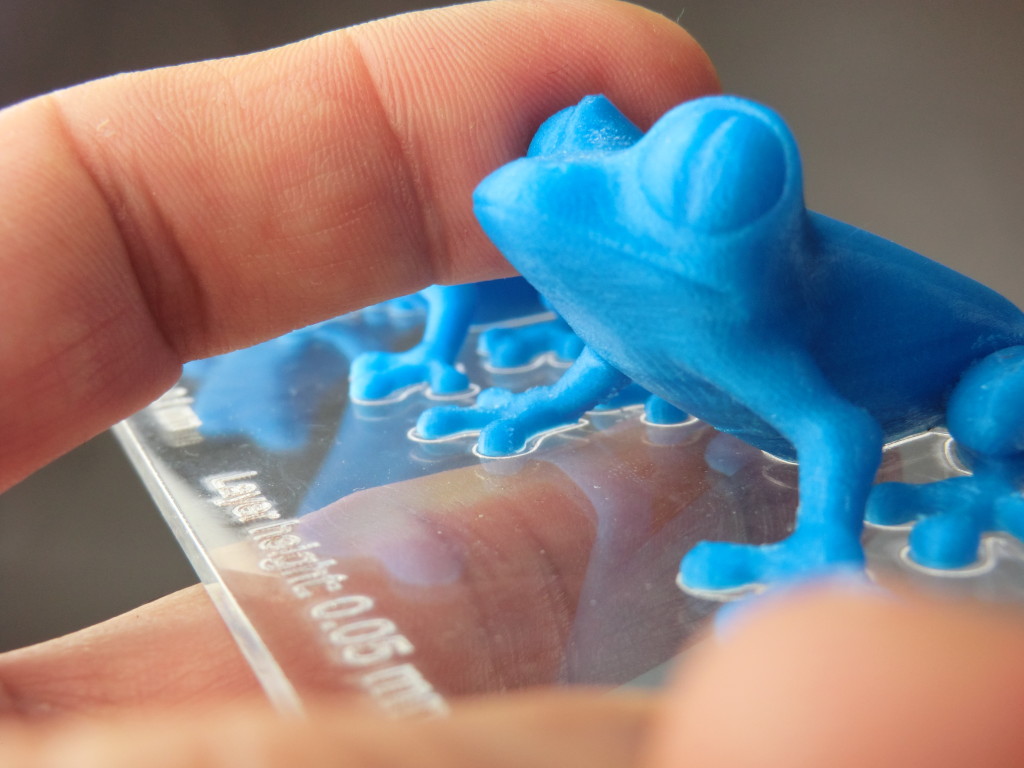 3D printed frog - Indramat Products